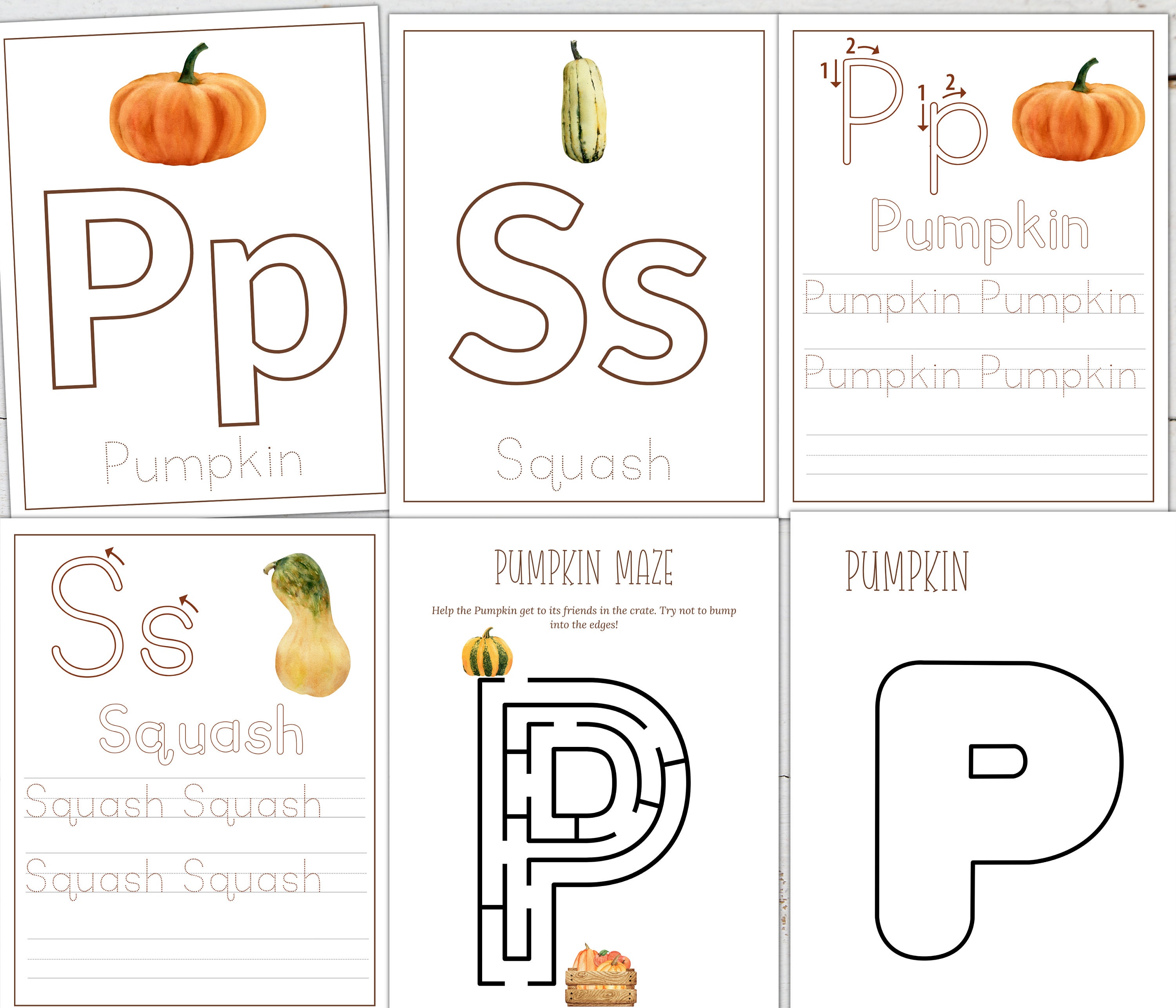 PUMPKIN Unit Study, Life Cycle, Anatomy, Nature Study, Science ...