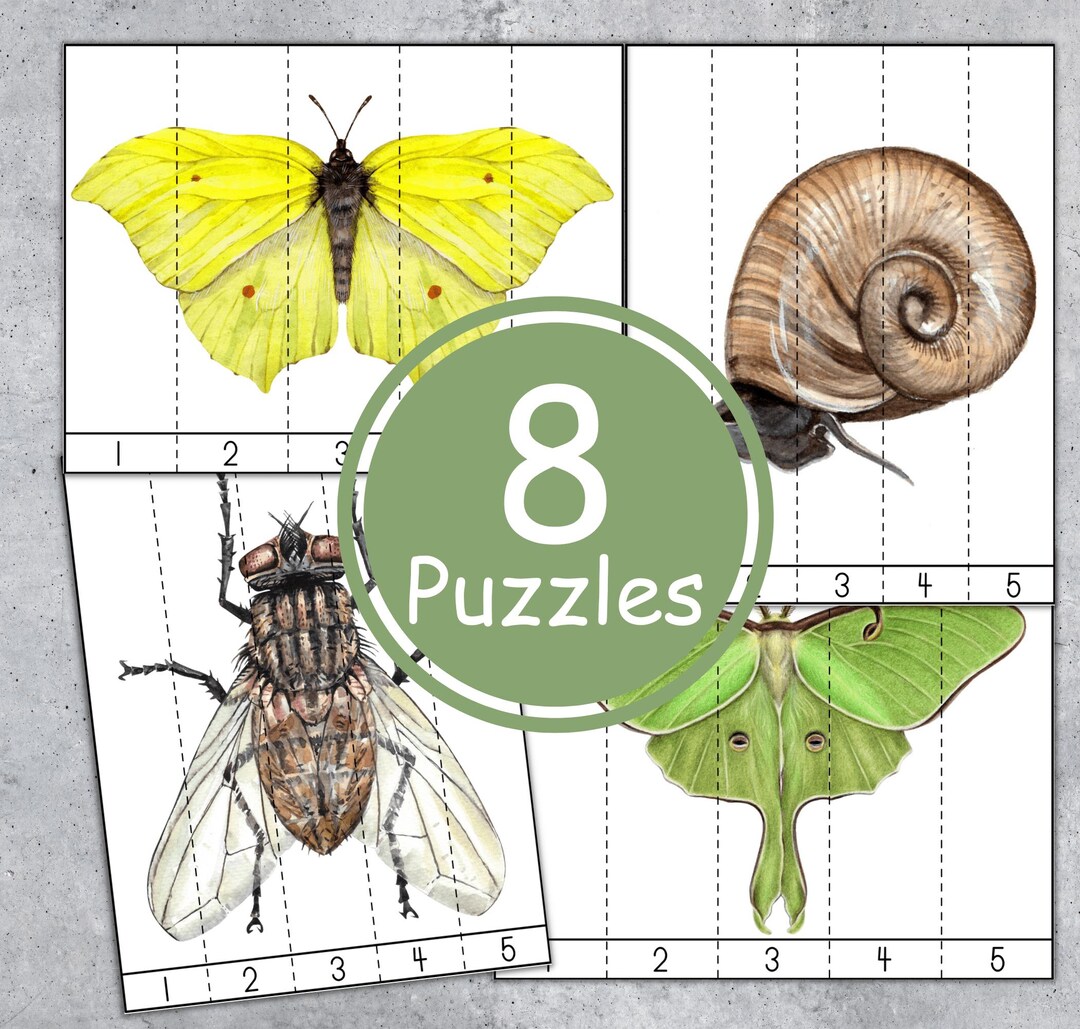 Minibeasts Number Sequence Puzzles Printable, Montessori Minibeasts ...