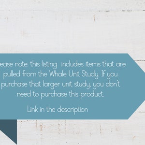 BELUGA WHALE Life Cycle, Nature Study, Homeschool Printable, Instant ...