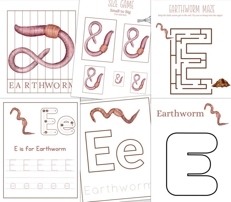 EARTHWORM Study Unit, Life Cycle, Anatomy, Nature Study, Science ...