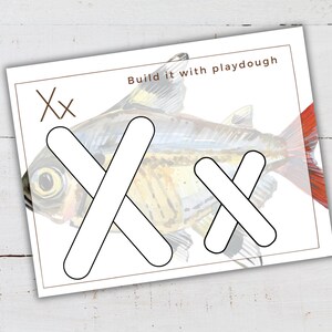 LETTER of the WEEK, X is for X-ray Fish, Letter X Activities, Alphabet ...
