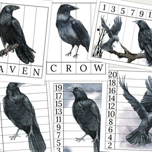 RAVEN Unit Study, Anatomy, Nature Study, Science, Handwriting ...