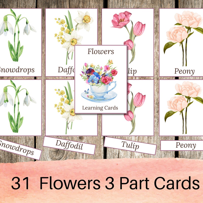 FunMomPrintables - Etsy