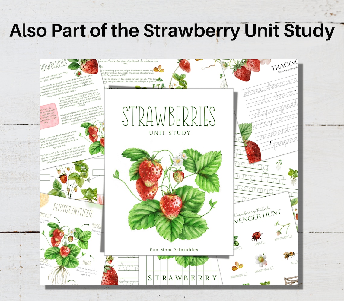 STRAWBERRY Anatomy Posters Labeling and Tracing Activities - Etsy Canada