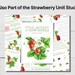 STRAWBERRY Anatomy, Posters Labeling and Tracing Activities, Strawberry ...