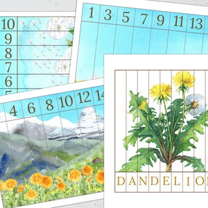 DANDELION Unit Study, Life Cycle, Anatomy, Nature Study, Science ...