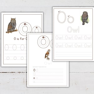 LETTER of the WEEK, O is for Owl, Letter O Activities, Alphabet ...