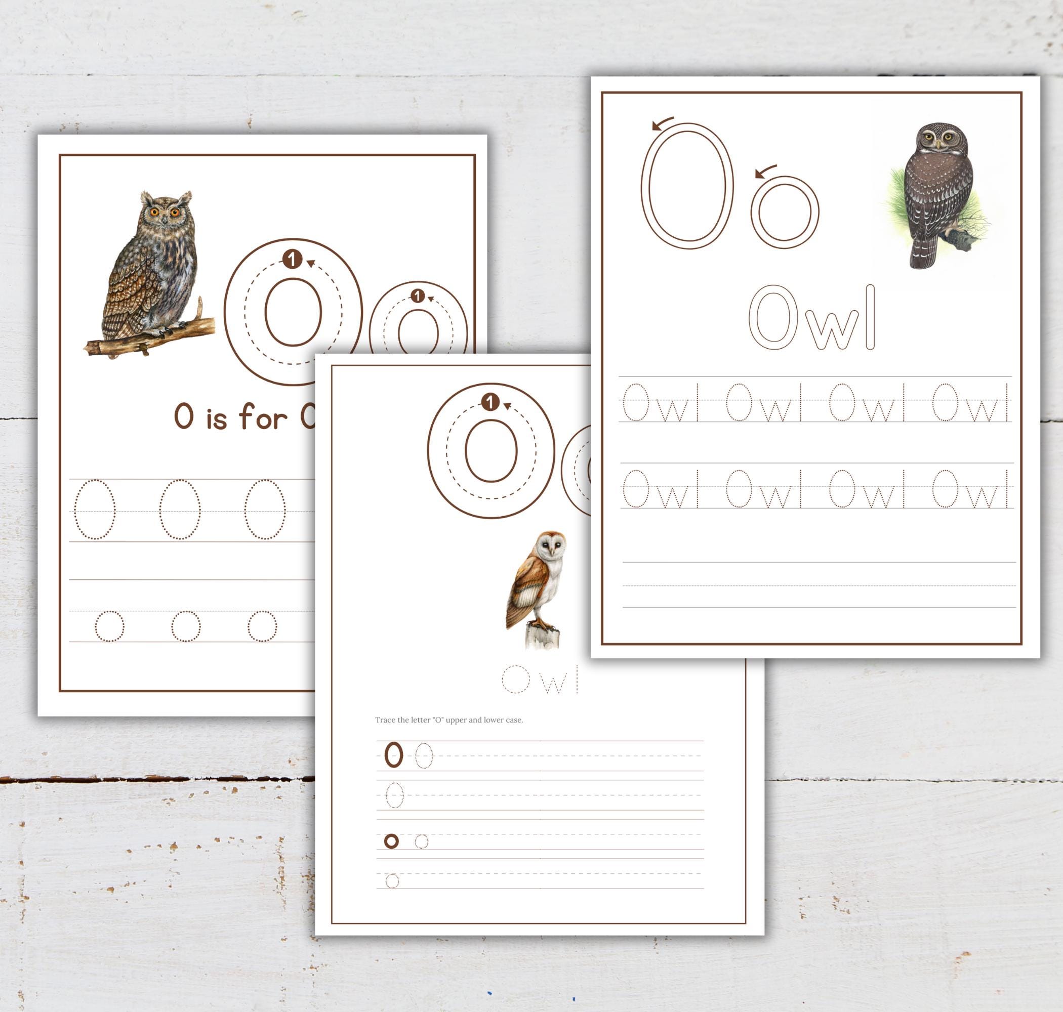 Letter O is for Owl - Alphabet Learning Printable (instant Download) - Etsy