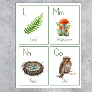FOREST NATURE Alphabet Flashcards. Watercolor Letter Cards. Kids ...