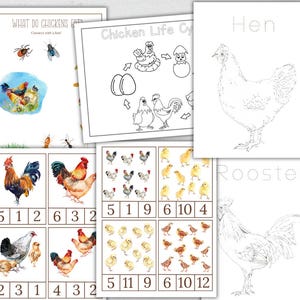 Chicken Unit Study , Life Cycle, Anatomy, DIGITAL DOWNLOAD - Etsy