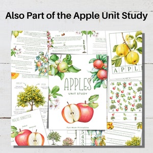 APPLE ORCHARD Scavenger Hunt, Nature Study, Outdoor Scavenger Hunt ...