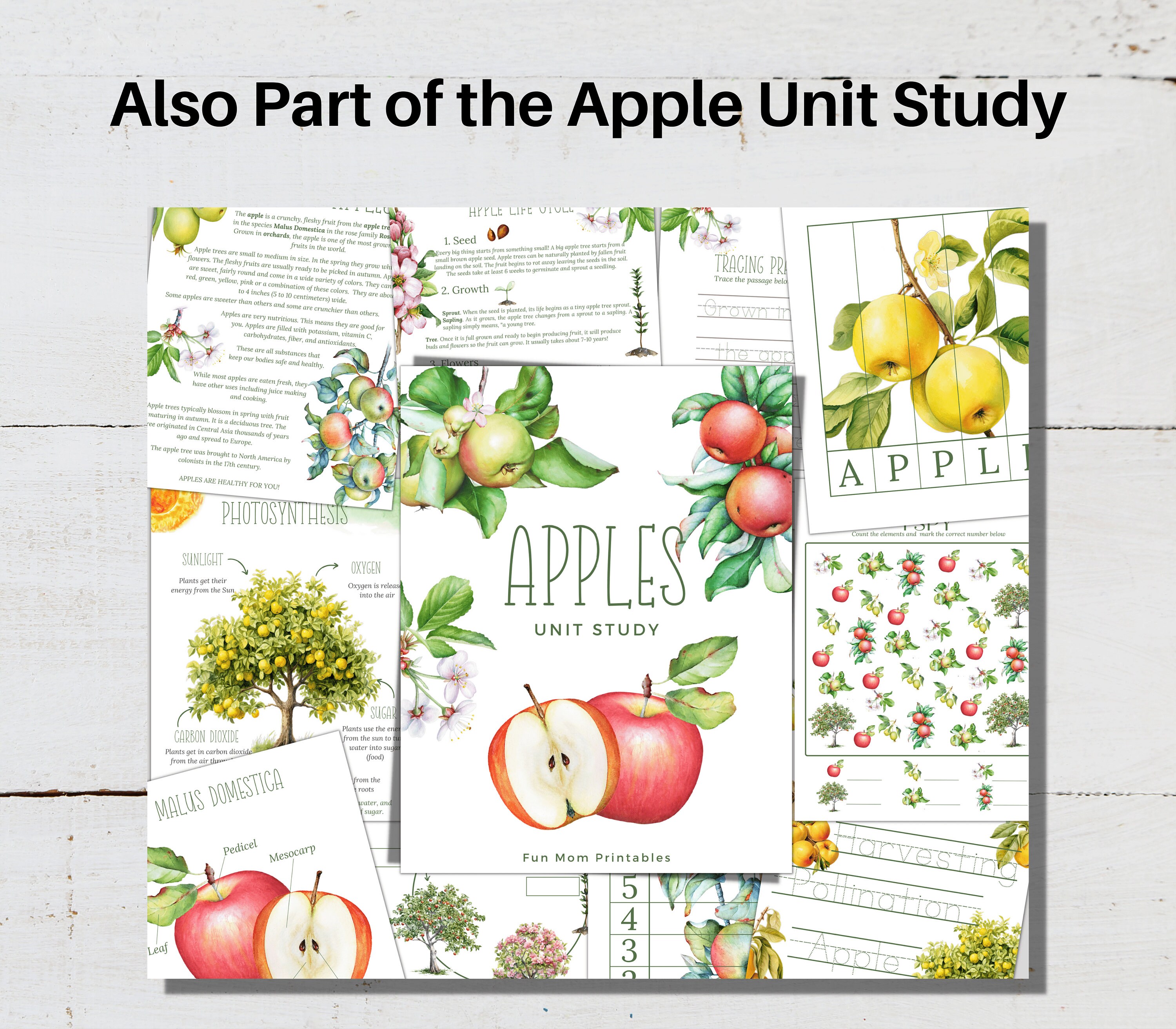 Apple Orchard Scavenger Hunt: Nature Study (instant Download) - Etsy