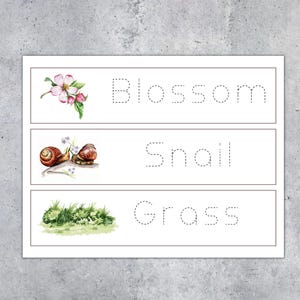 Spring Preschool Printable Word Tracing Strips. Kindergarten ...