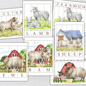 Sheep Unit Study: Life Cycle, Anatomy, Farm Activities (homeschool ...