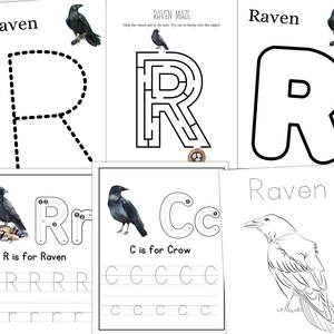 RAVEN Unit Study, Anatomy, Nature Study, Science, Handwriting ...
