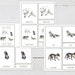 Arctic Fox Unit Study: Homeschool Science Printable (instant Download ...