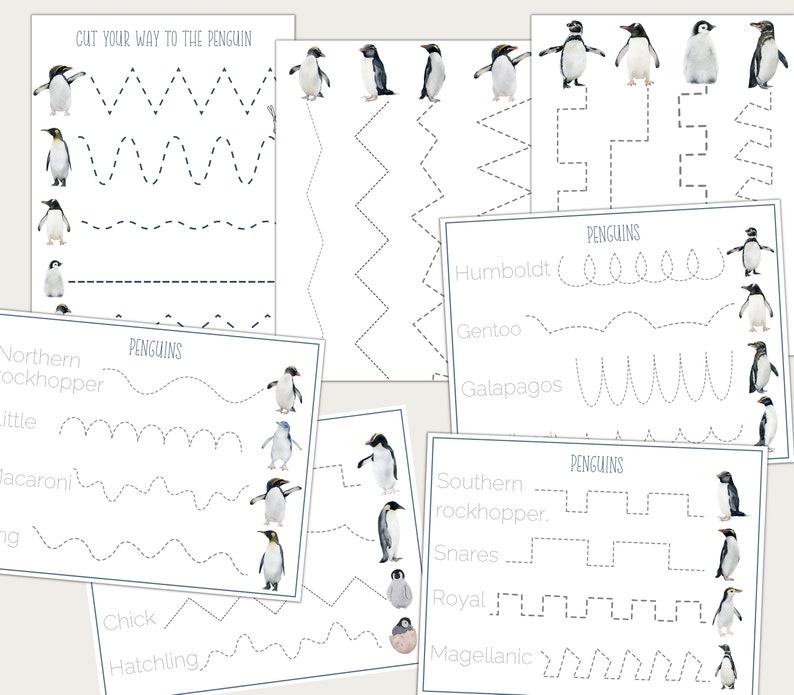 PENGUINS Unit Study Life Cycle Anatomy Nature Study - Etsy