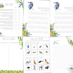 POND Unit Study, Animals and Plants Unit, Life Cycle, Anatomy, Nature ...