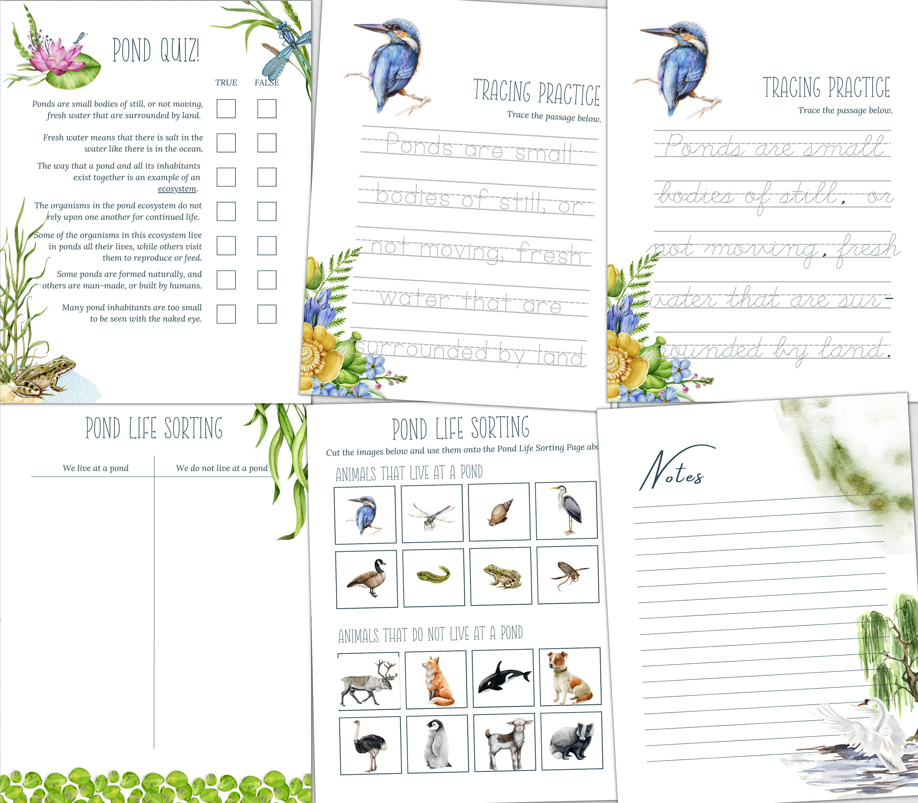 Pond Life Unit Study: Animals, Plants, Ecosystem (instant Download) - Etsy