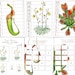 CARNIVOROUS PLANTS Unit Study, Anatomy, Nature Study, Science ...