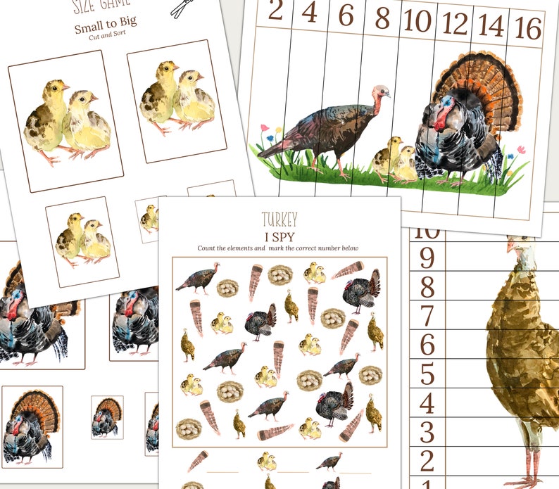 TURKEY Unit Study, Life Cycle, Anatomy, Montessori 3 Part Cards ...