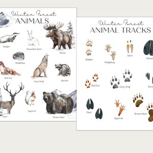 Winter Forest Animals Unit Study: Homeschool Printable (instant ...