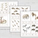 African SAVANNA Unit Study, Life Cycle, Anatomy, Nature Study, Science ...