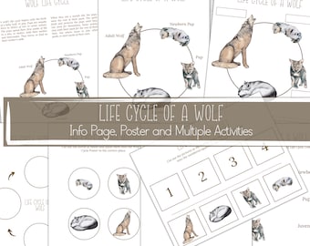 WOLF Mini Unit Study, Life Cycle, Anatomy, Nature Study, Science ...