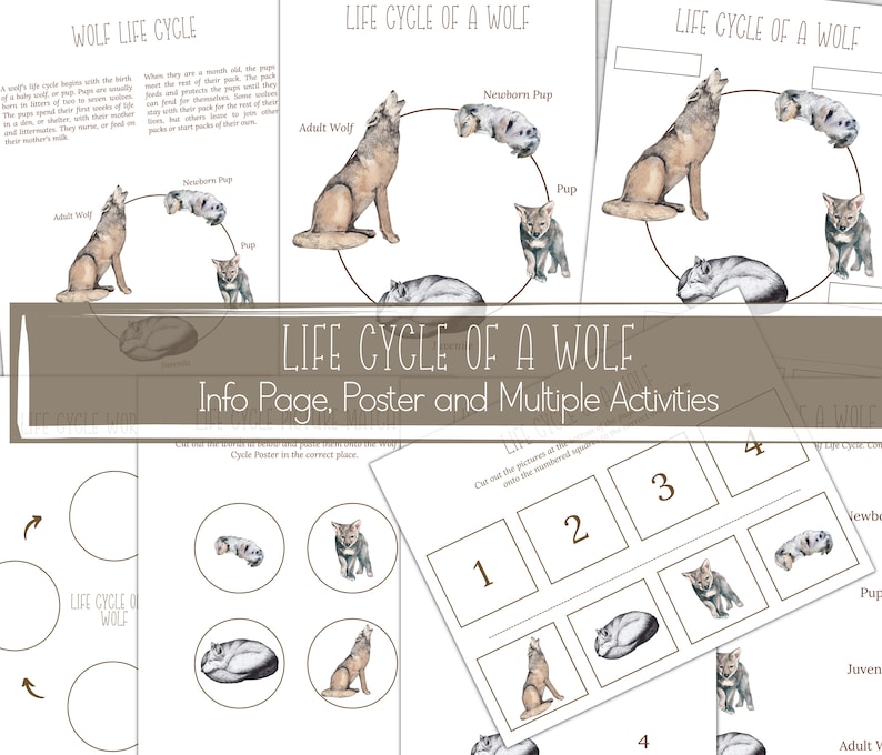 WOLF Life Cycle, Nature Study, Homeschool Printable, Instant Download ...