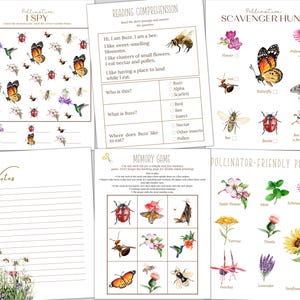 POLLINATORS Unit Study, Nature Study, Science, Handwriting, Homeschool ...