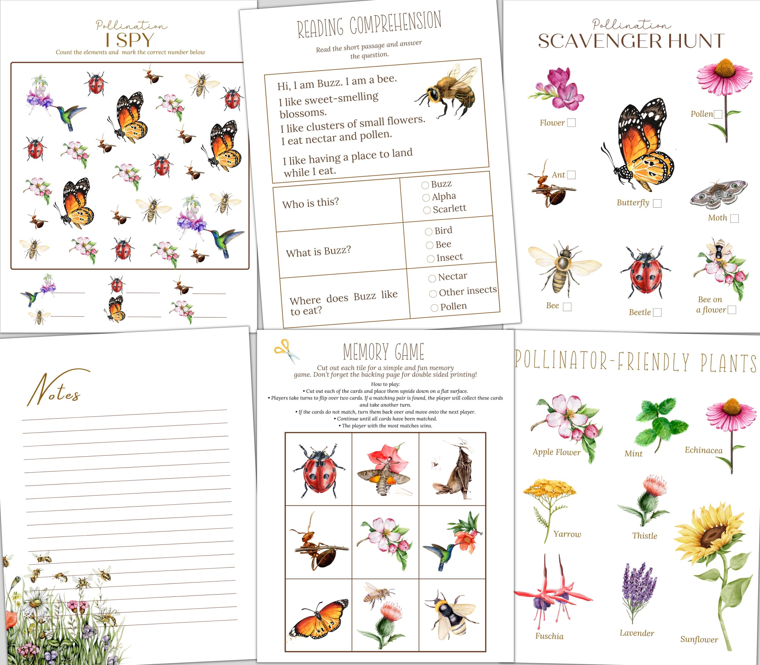 POLLINATORS Unit Study, Nature Study, Science, Handwriting, Homeschool ...