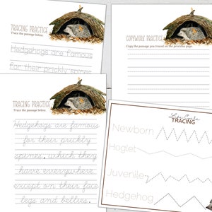 HEDGEHOG Unit Study, Life Cycle, Anatomy, Nature Study, Science ...