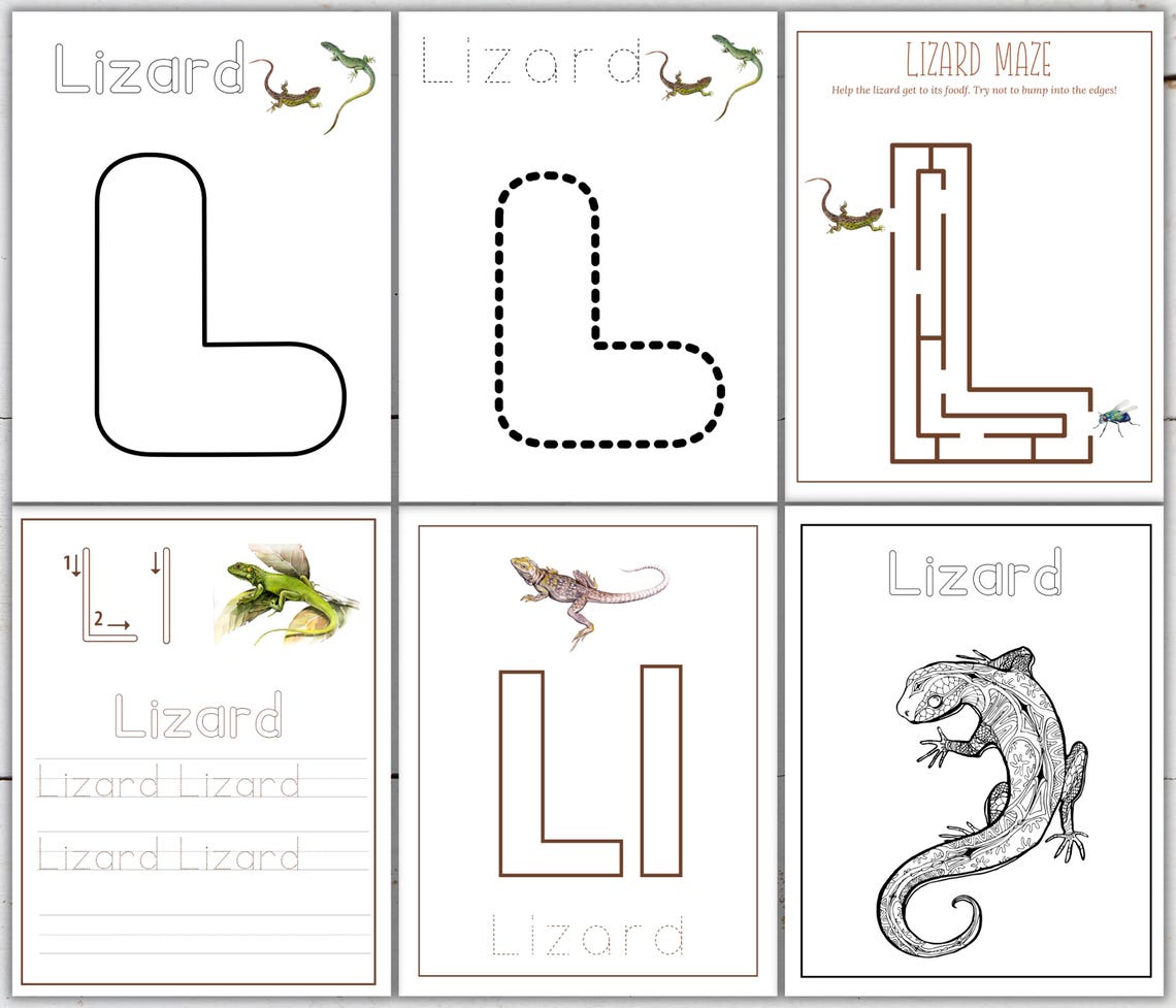 LIZARD Unit Study, Anatomy, Nature Study, Science, Handwriting ...