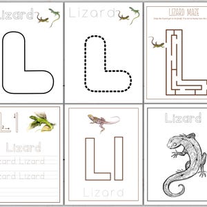 LIZARD Unit Study, Anatomy, Nature Study, Science, Handwriting ...