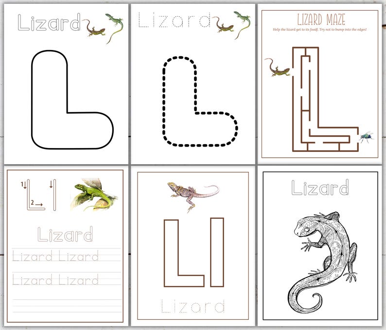 LIZARD Unit Study, Anatomy, Nature Study, Science, Handwriting ...