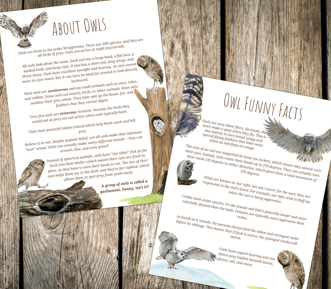 OWLS Unit Study Life Cycle Anatomy Nature Study Science - Etsy