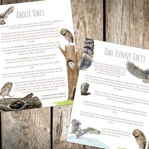 OWLS Unit Study Life Cycle Anatomy Nature Study Science - Etsy