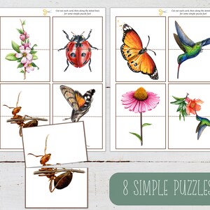 POLLINATORS Unit Study, Nature Study, Science, Handwriting, Homeschool ...