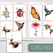 POLLINATORS Unit Study Nature Study Science Handwriting - Etsy