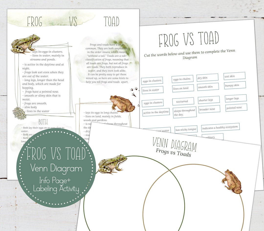 FROG Vs TOAD Venn Diagram Activity, Homeschool, Montessori, Instant ...