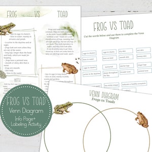 FROG Vs TOAD Venn Diagram Activity, Homeschool, Montessori, Instant ...