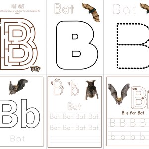 BATS Unit Study, Life Cycle, Anatomy, Nature Study, Science ...