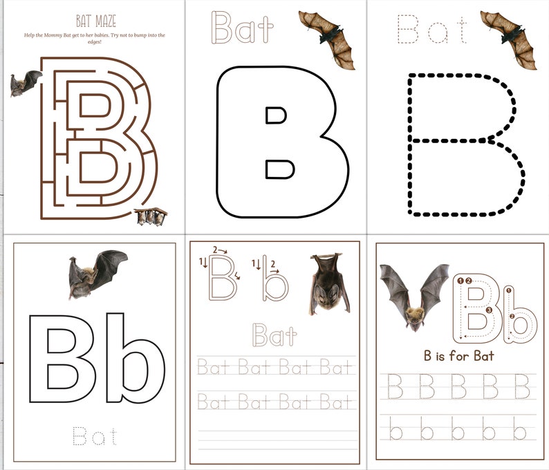 Bats Unit Study: Life Cycle, Anatomy, Homeschool Printable (instant ...