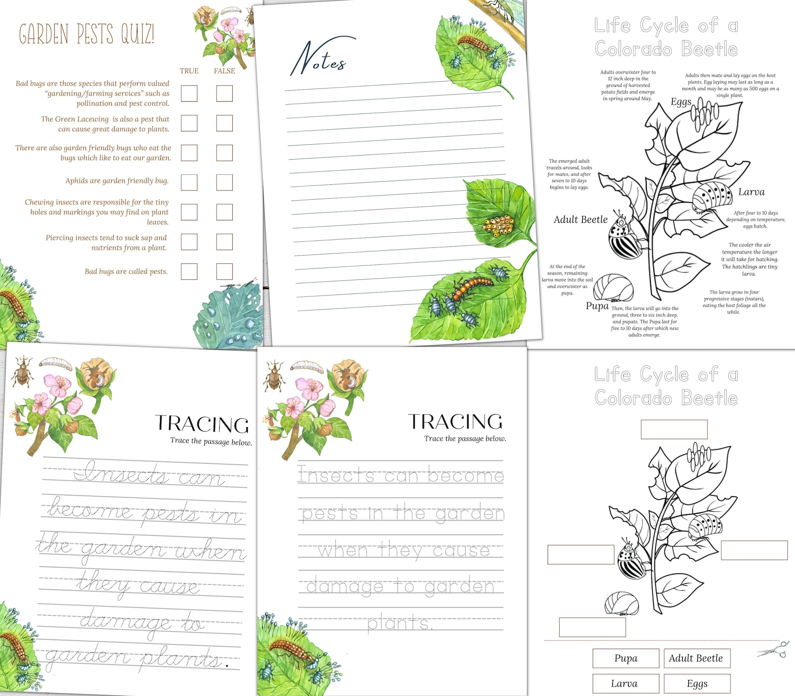 Garden Pests Unit Study: Homeschool Science (instant Download) - Etsy