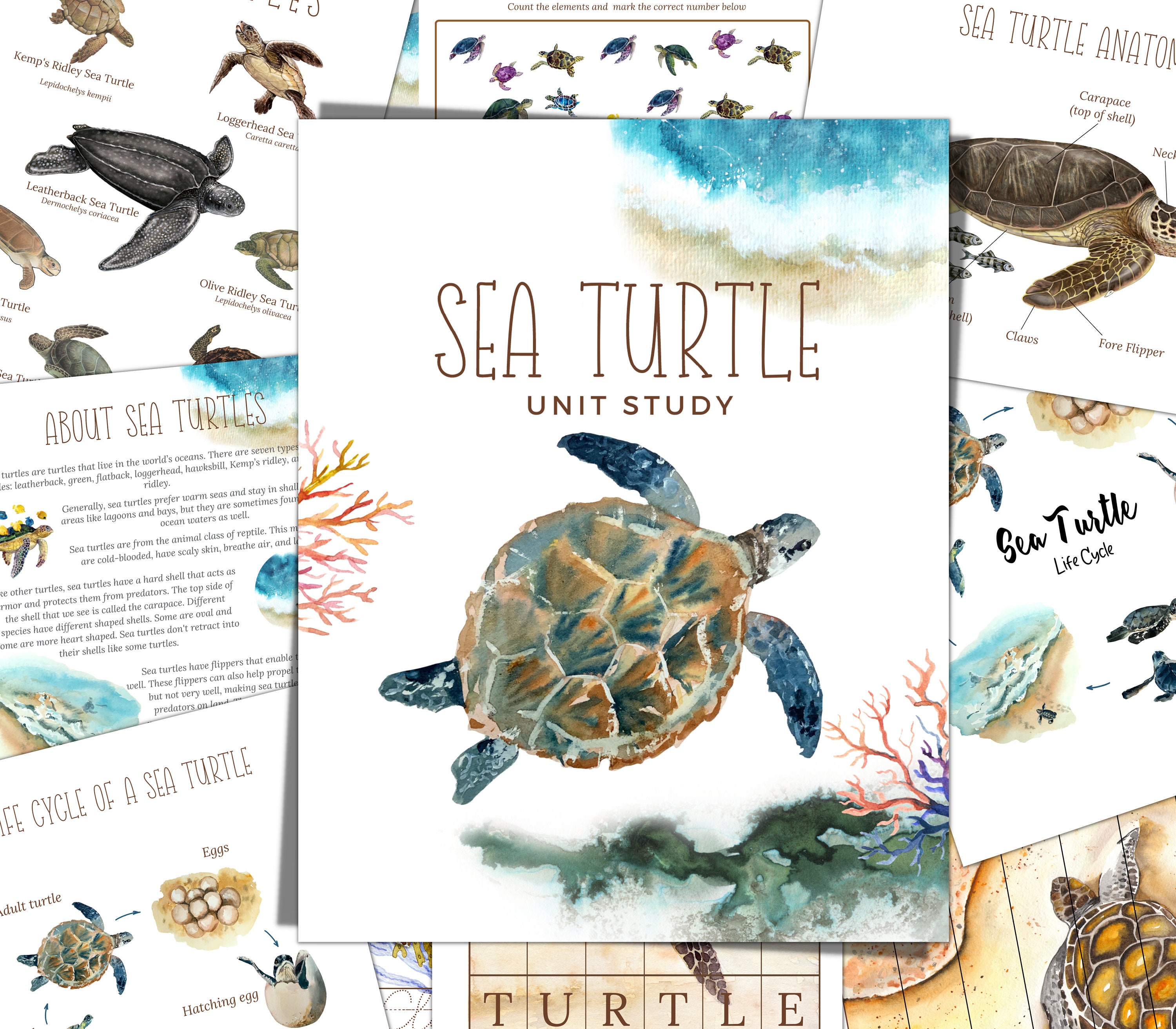Reptiles Unit Study Bundle: Snakes, Crocodile, Sea Turtle (homeschool ...