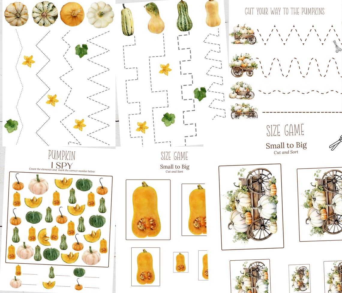 PUMPKIN Unit Study, Life Cycle, Anatomy, Nature Study, Science ...
