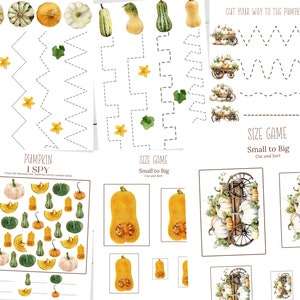 PUMPKIN Unit Study, Life Cycle, Anatomy, Nature Study, Science ...