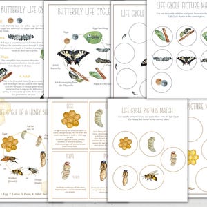 POLLINATORS Unit Study, Nature Study, Science, Handwriting, Homeschool ...