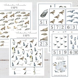ANTARCTIC ANIMALS Unit Study, Life Cycle, Anatomy, Nature Study ...