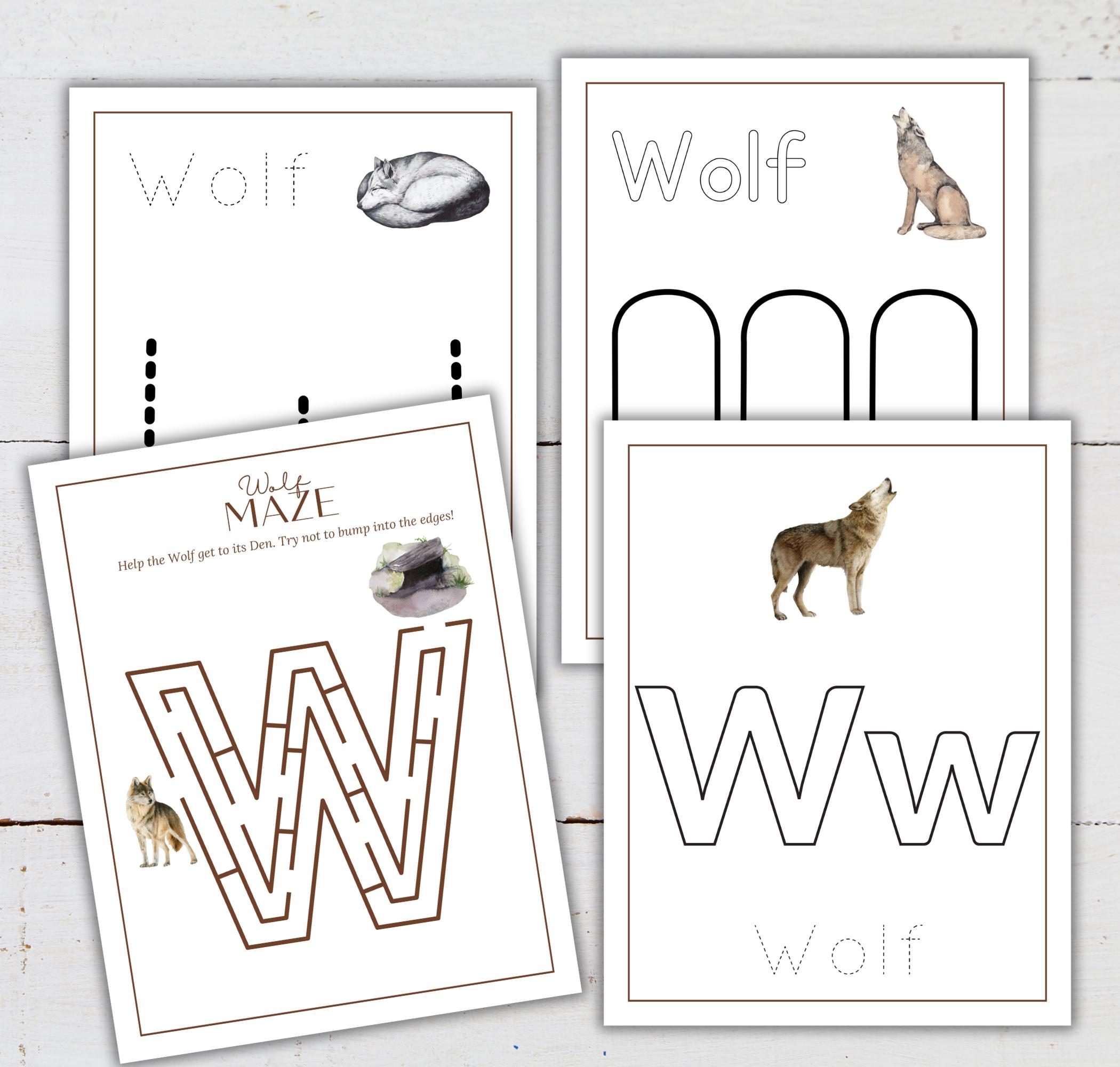 Letter W Wolf Learning Activities: Alphabet Printable (instant Download ...